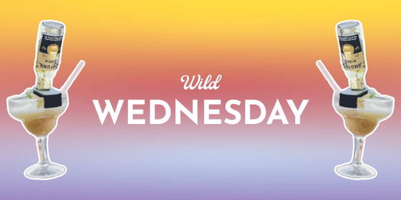 Wild Wednesday