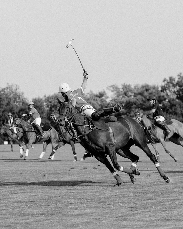 Polo Cup