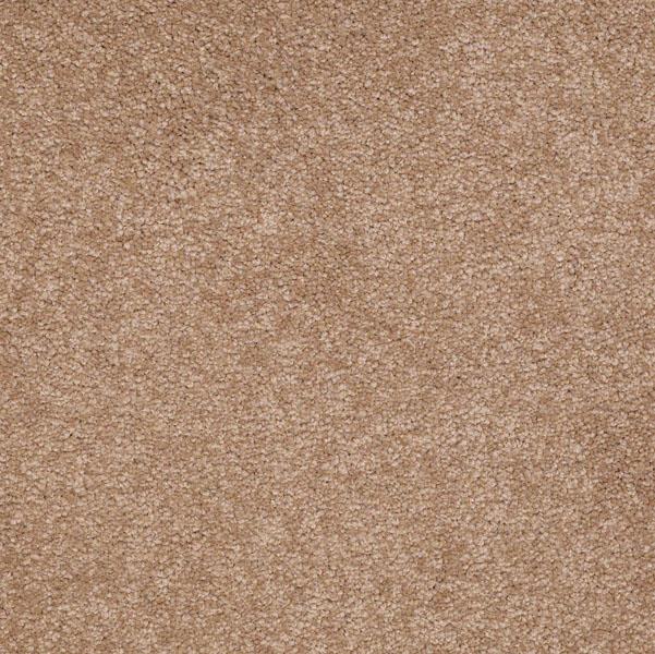 Shaw's MAGICATLAST2(15 TEXTURE carpet in color IVORY LACE