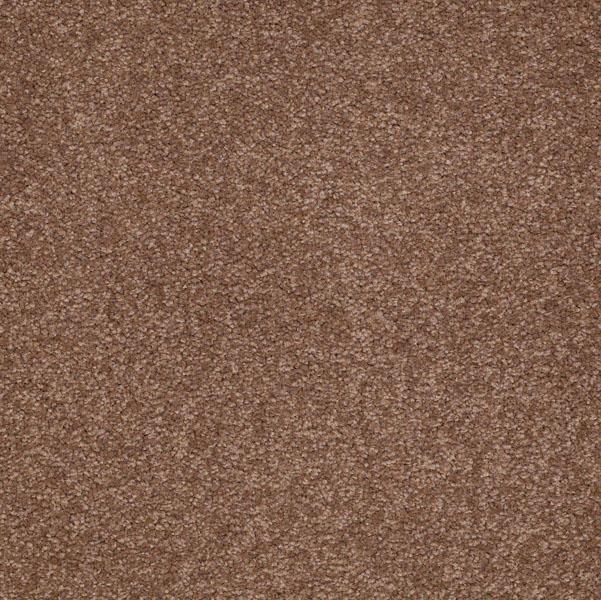 Shaw's MAGICATLAST3(15 TEXTURE carpet in color COPPER