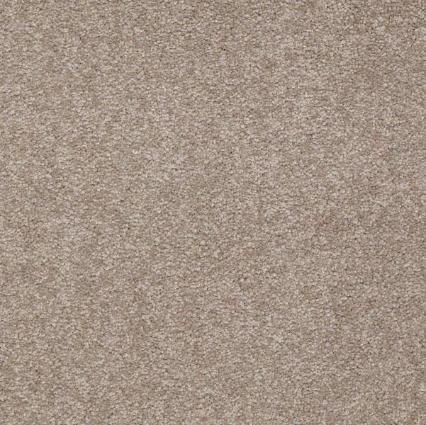 Shaw's MAGICATLAST3(15 TEXTURE carpet in color COPPER
