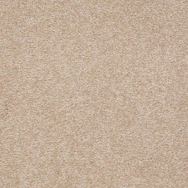 Shaw's MAGICATLST 2(12 TEXTURE carpet in color JET STREAM