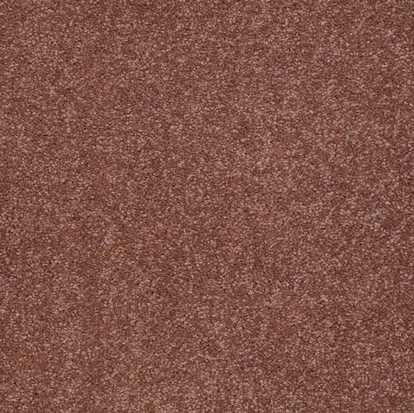 Shaw's MAGICATLST 2(12 TEXTURE carpet in color THOROUGHBRED