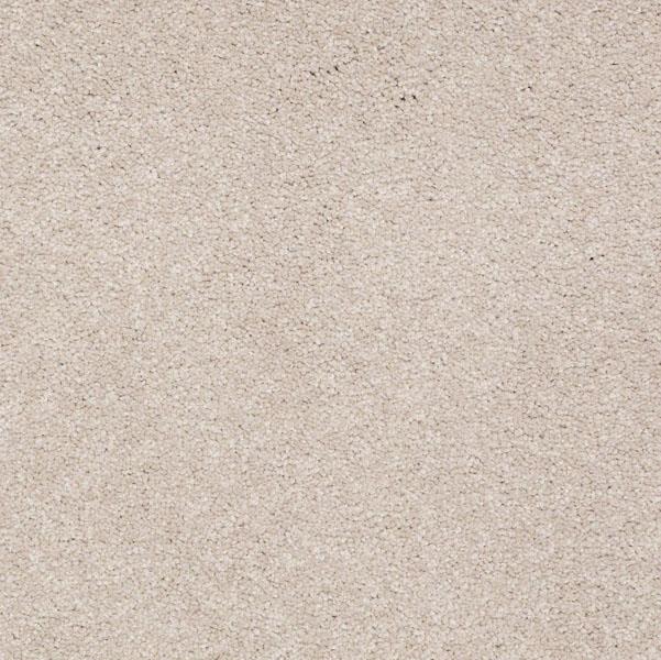 Shaw's MAGICATLST 3(12 TEXTURED CUT PILE carpet in color GUNMETAL