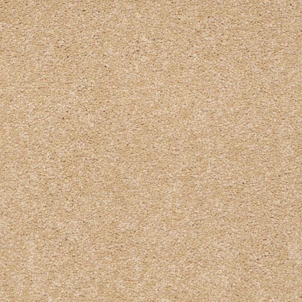Shaw's MAGICATLST 3(12 TEXTURED CUT PILE carpet in color CHINCHILLA