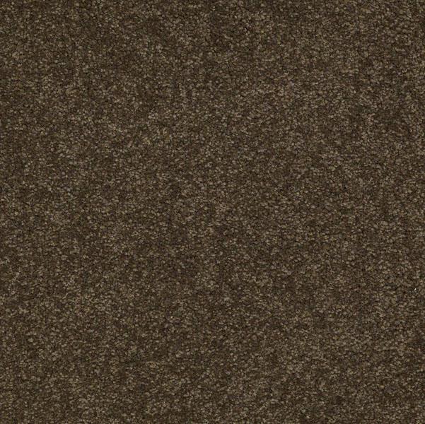 Shaw's MAGICATLST 3(12 TEXTURED CUT PILE carpet in color SPICE