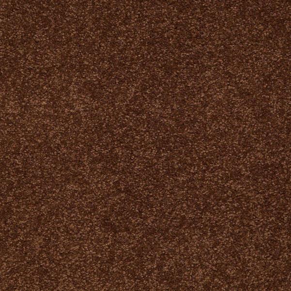 Shaw's MAGICATLST 3(12 TEXTURED CUT PILE carpet in color SPICE