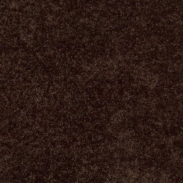 Shaw | Briceville Classic 12 | Dusty Trail