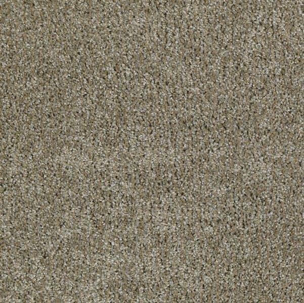 Shaw's MAKE IT YOURS(T TEXTURE carpet in color STERLING HAZE