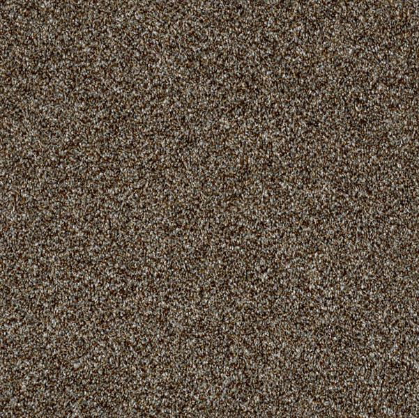 Shaw | Work The Color | Champion