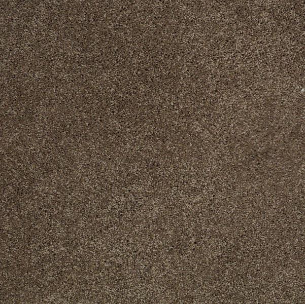 Shaw | Origins II | Mushroom