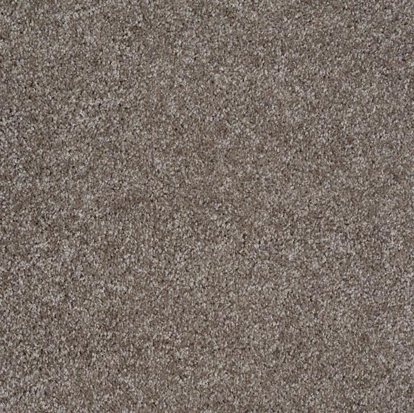Shaw's PARLAY TEXTURE carpet in color GALLERY