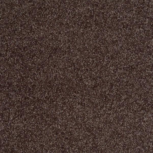 Shaw's PARLAY TEXTURE carpet in color PEWTER