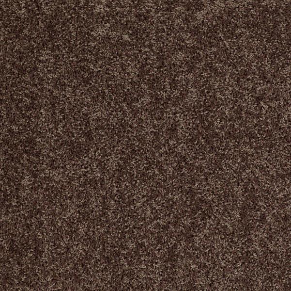 Shaw | Ride It Out (S) | Saddle