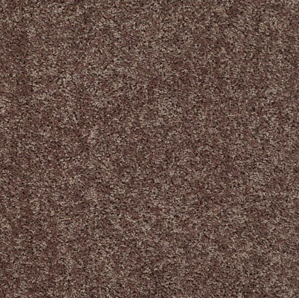 Shaw | Ride It Out (S) | Saddle