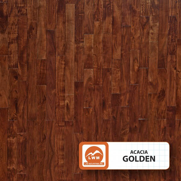 LWM | Acacia-Golden | Acacia-Golden