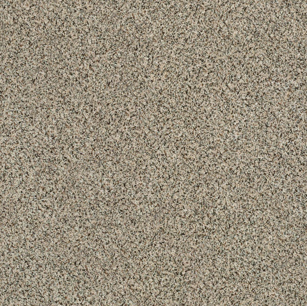 Shaw | Angora Classic 2 | Walnut Shell