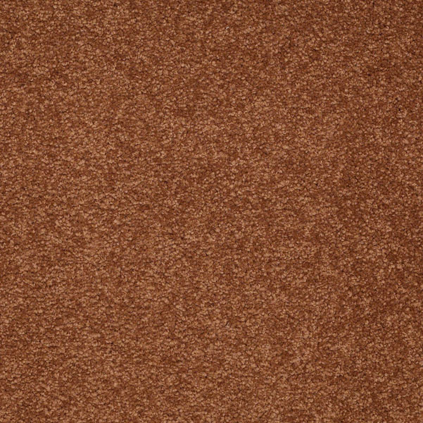 Shaw's MAGICATLAST3(15 TEXTURE carpet in color COPPER