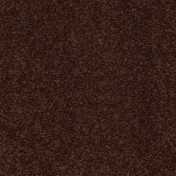 Shaw's MAGICATLST 1(15 TEXTURE carpet in color GARDEN SPOT