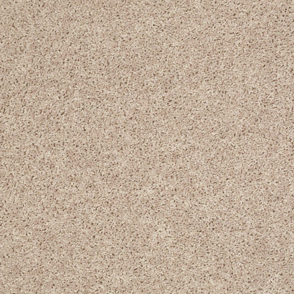 Shaw | Ride It Out (S) | Winter Wind