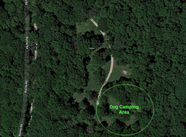 Campground Dog Rules